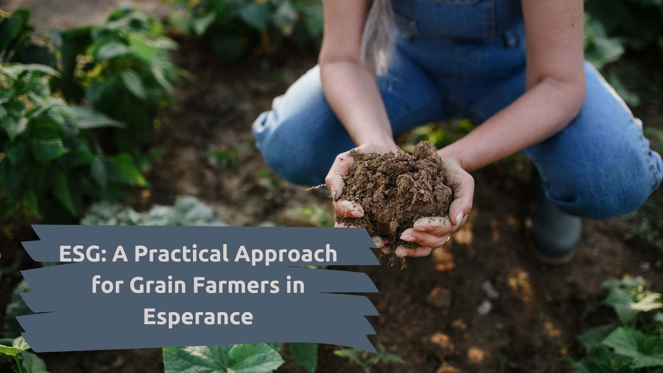 Embracing ESG in Australian Agribusiness: A Practical Approach for ...