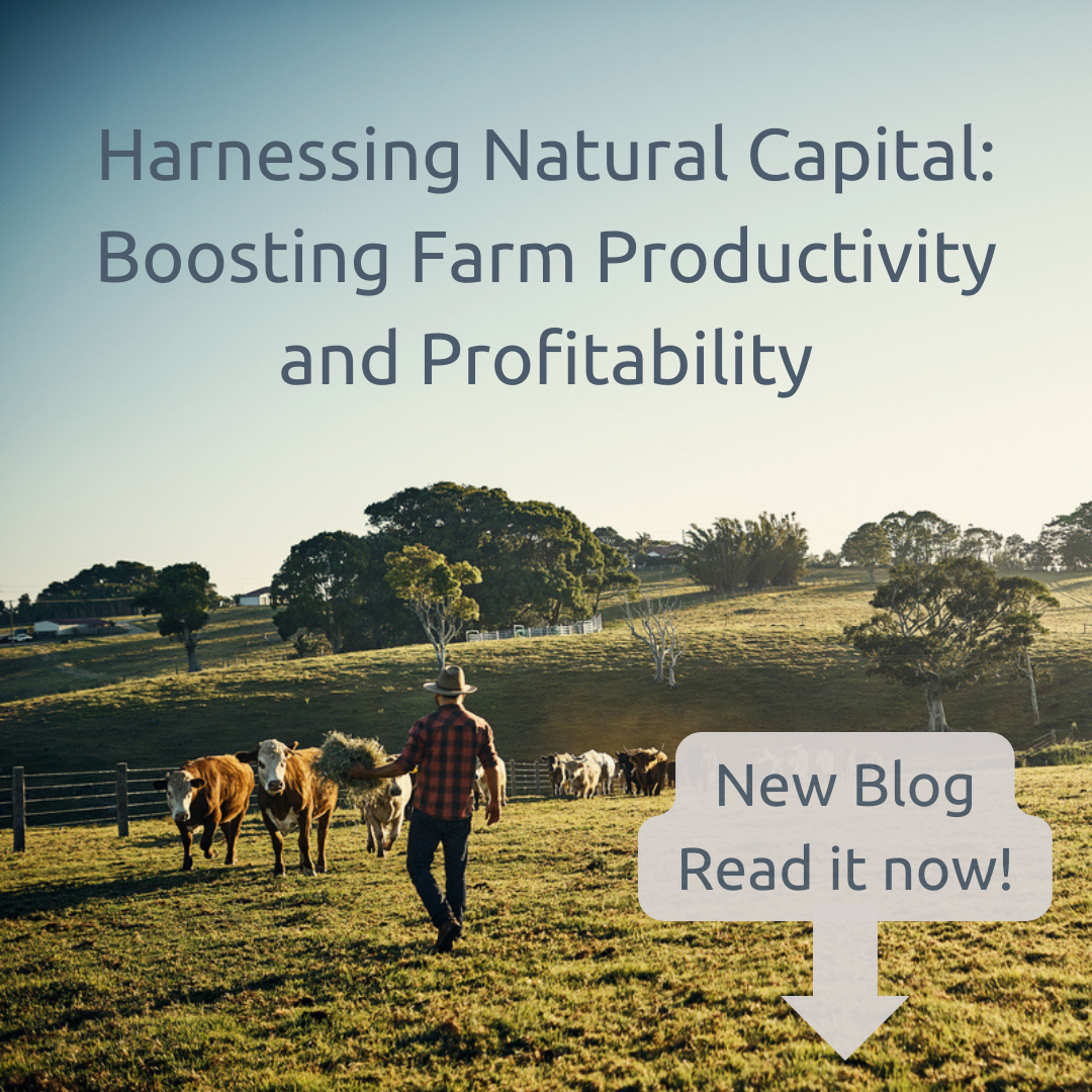 Harnessing natural capital: boosting farm productivity and profitability